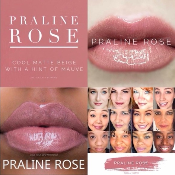 LipSense | Makeup | New Sealed Praline Rose Lipsense Long Lasting ...